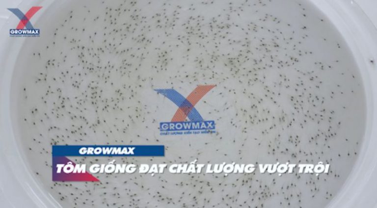 Sản phẩm - Growmax Group