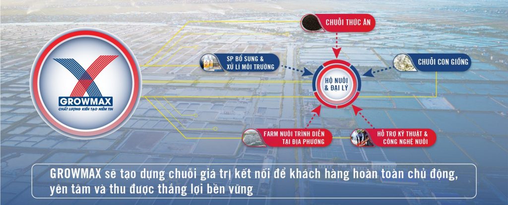 Về chúng tôi - GrowMax Group