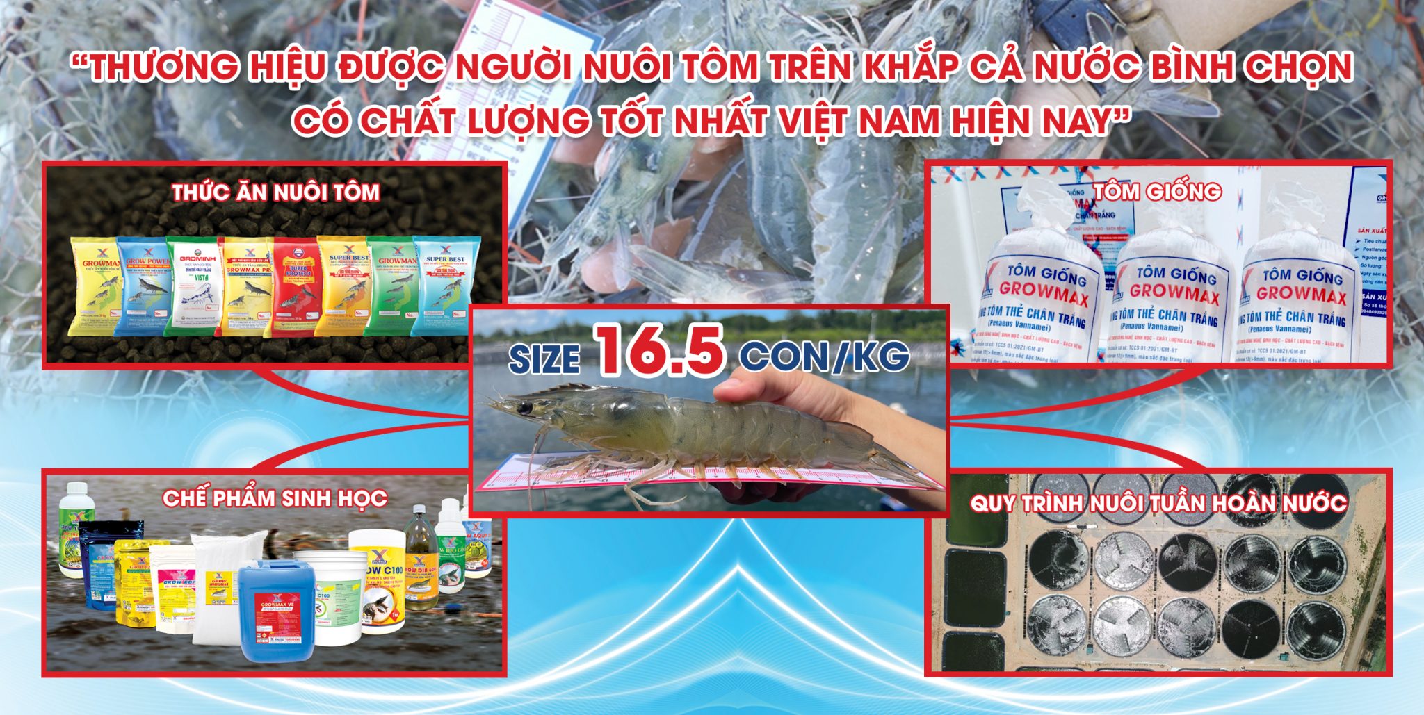 Về chúng tôi - Growmax Group
