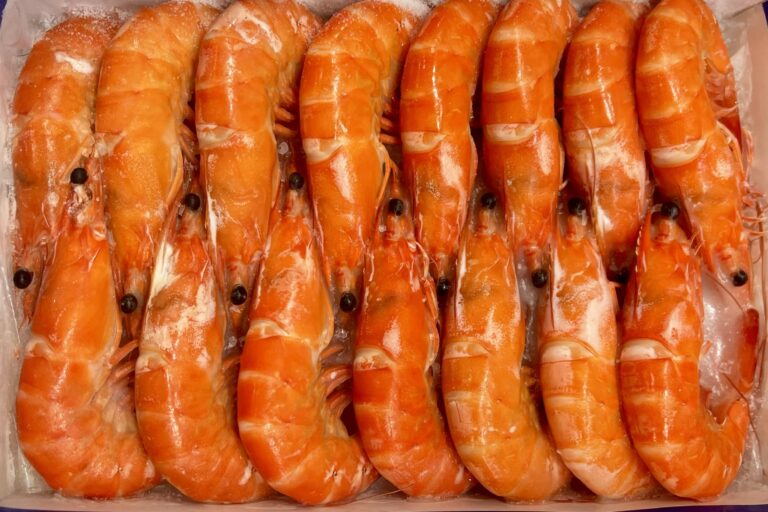 Cooked HOSO Vannamei Shrimp